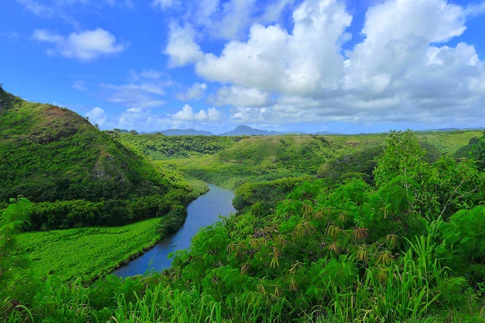 Oahu to Kauai: Waimea Canyon, Wailua River & Fern Grotto | LeaLea Tours
