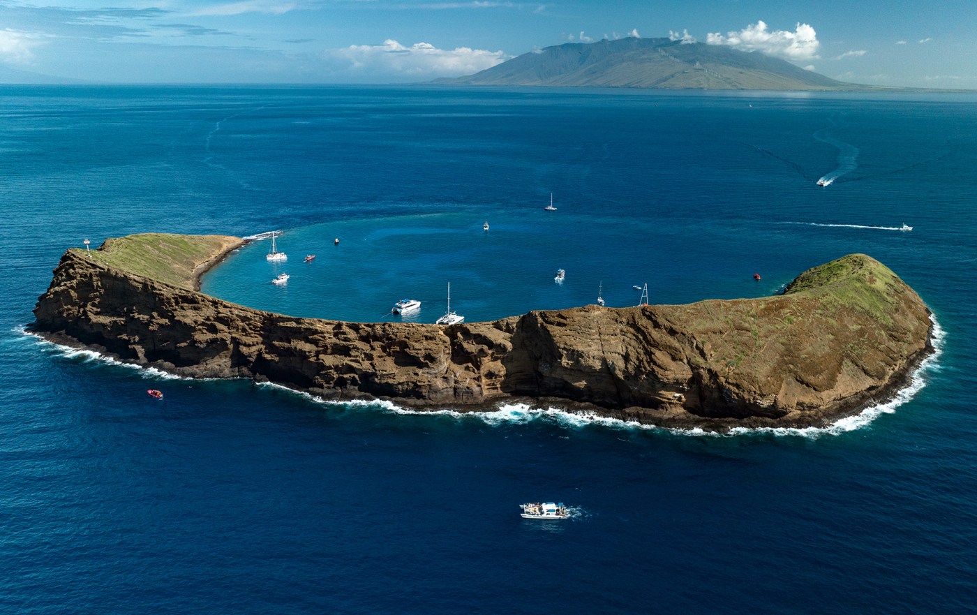 Afternoon Molokini or Coral Gardens Snorkel Tour | LeaLea Tours