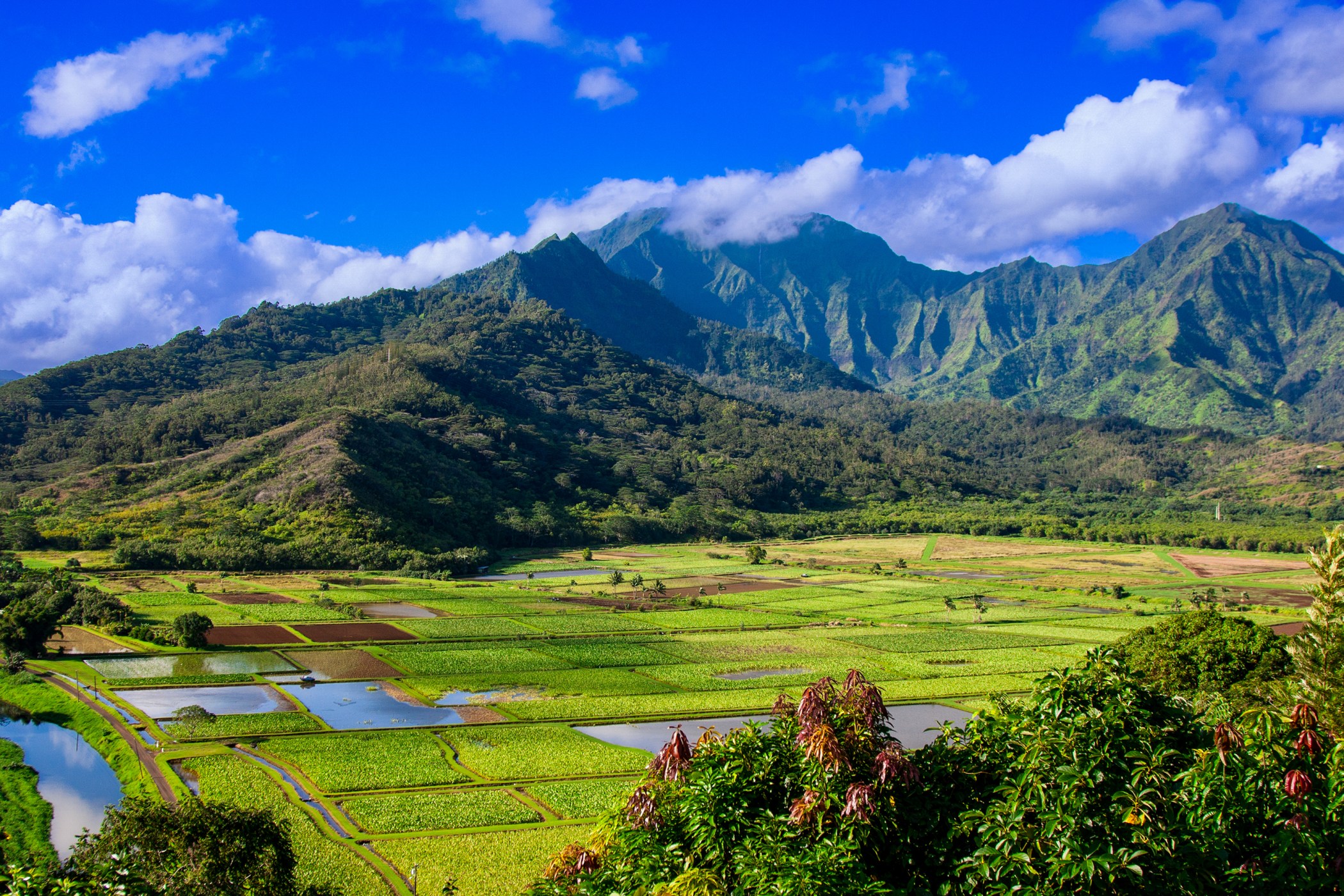 Kauai Island: Hawaii Movie Tour